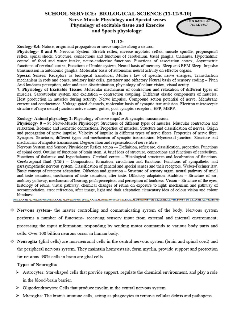 SSC Nerve Physiology Execise | PDF | Muscle Contraction | Axon