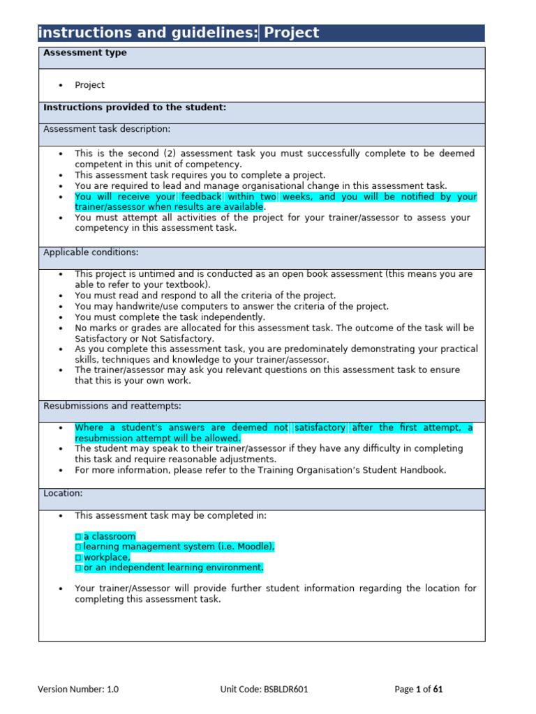 Wuttipong BBI001821 BSBLDR601 2025 Task2 | PDF | Marketing | Risk Management