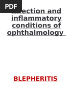 ICD-10 Codes for Styes and Hordeola | PDF | Ophthalmology | Rtt