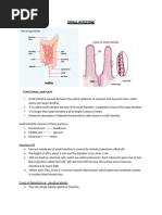 Succus Entericus New | PDF | Digestive System | Gastroenterology