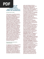 5 Trafico Vesicular | PDF | Biología Celular | Bioquímica