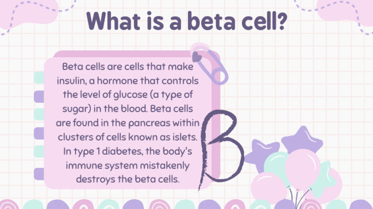 Understanding Beta Cells and Diabetes | PDF