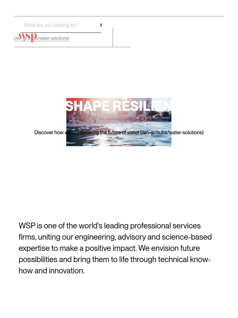 Understanding WSP in Engineering | PDF | Economies