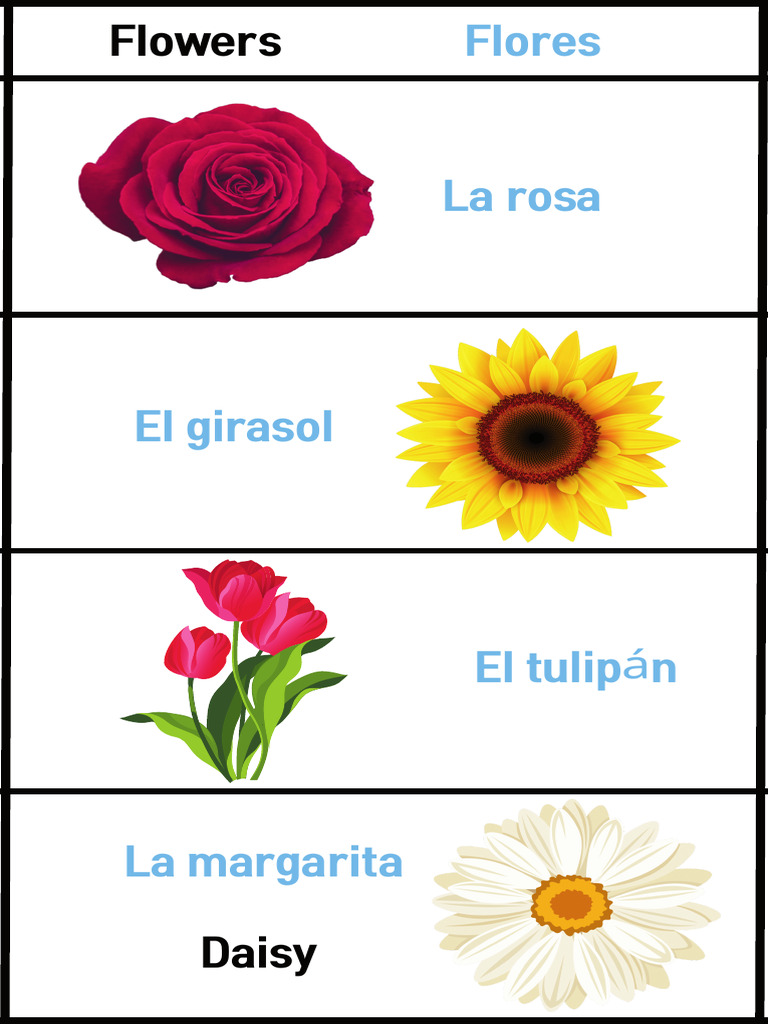 Flores y Ropa: Guía Completa | PDF