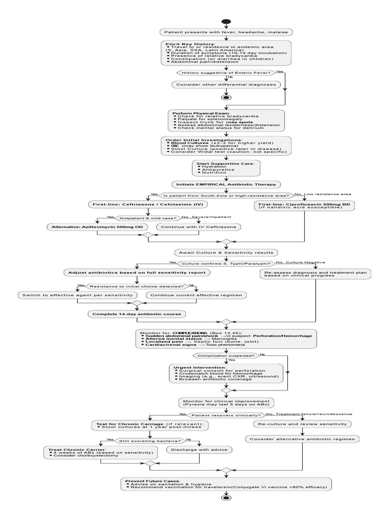Typhoid Management - Drawio | PDF | Medicine | Human Diseases And Disorders
