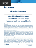 Lab Report - Bacterial Isolation - Updated | PDF | Bacteria | Microorganism