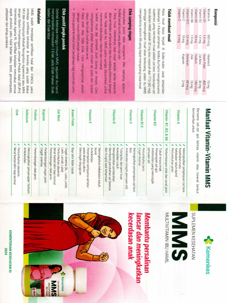Leaflet Mms 2025 | PDF