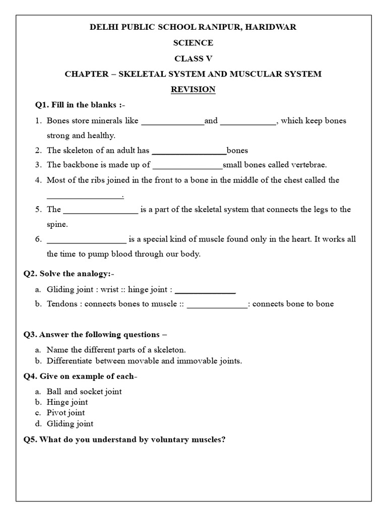 Skeletal System and The Muscular System Revision | PDF