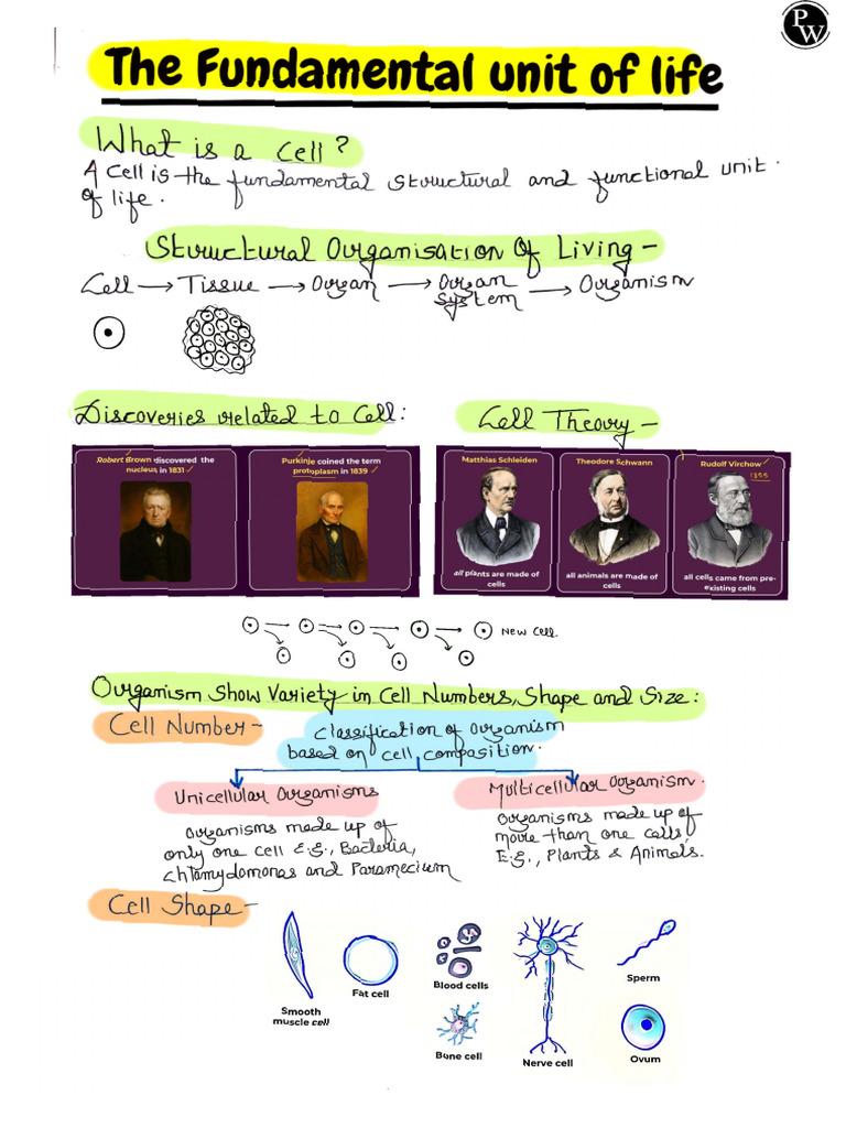 The Fundamental Unit of Life - Handwritten Notes | PDF
