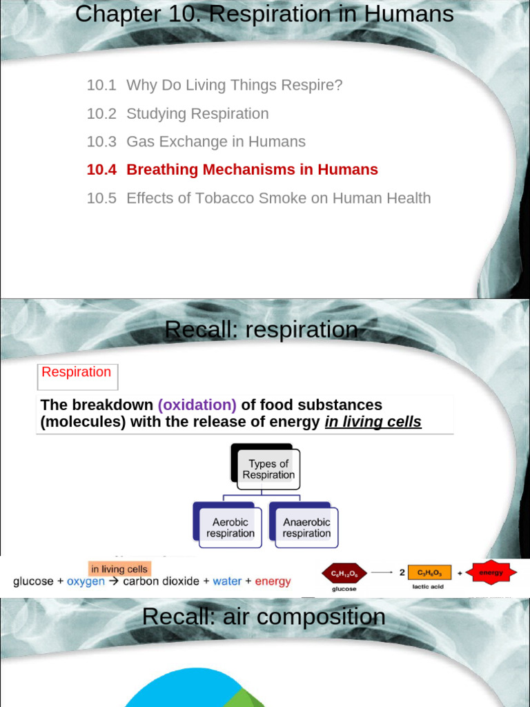 10.4 Breathing Mechanisms in Humans | PDF | Breathing | Exhalation