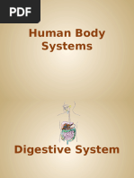 Human Body System-StudyGuide | PDF | Digestion | Human Digestive System
