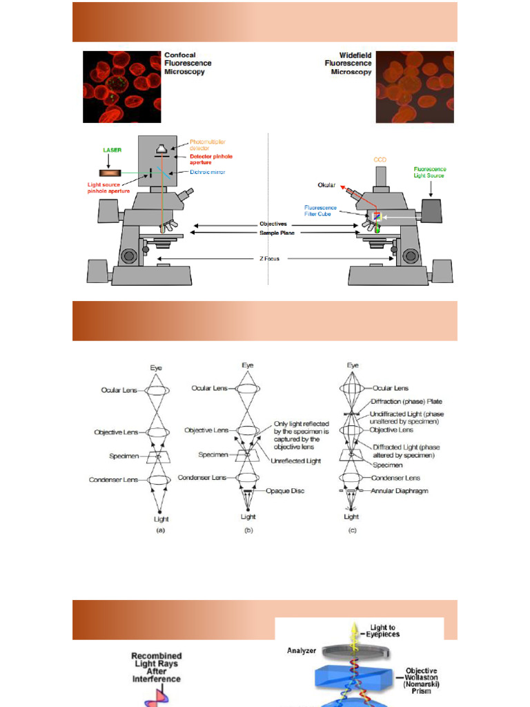 Modes of Imaging | PDF
