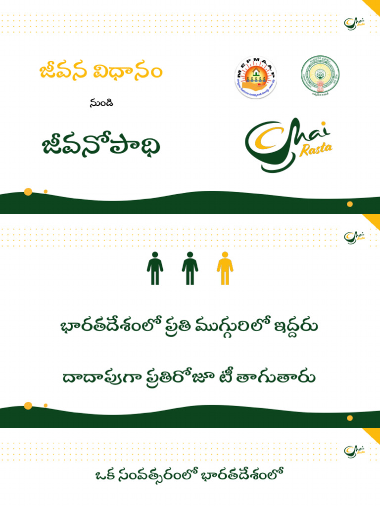 Mepma PPT 1 | PDF