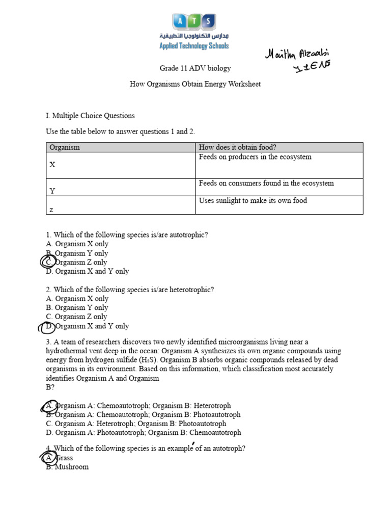 Energy Acquisition in Organisms Worksheet | PDF | Adenosine ...
