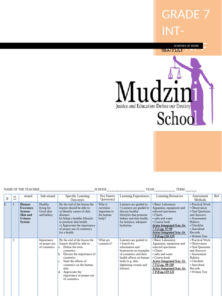 Grade 7 Science Schemes of Work 2025 | PDF | Force | Electricity
