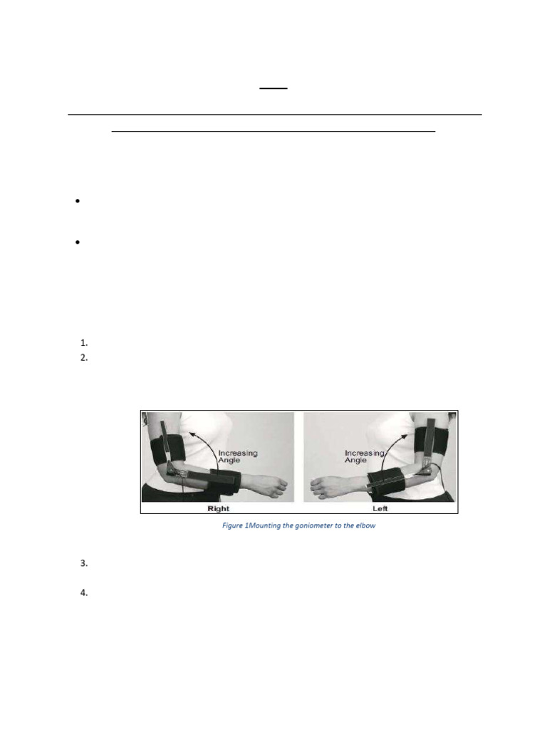 Lab Report About Theoretical Arc Length Comparison With Elbow Joint ...