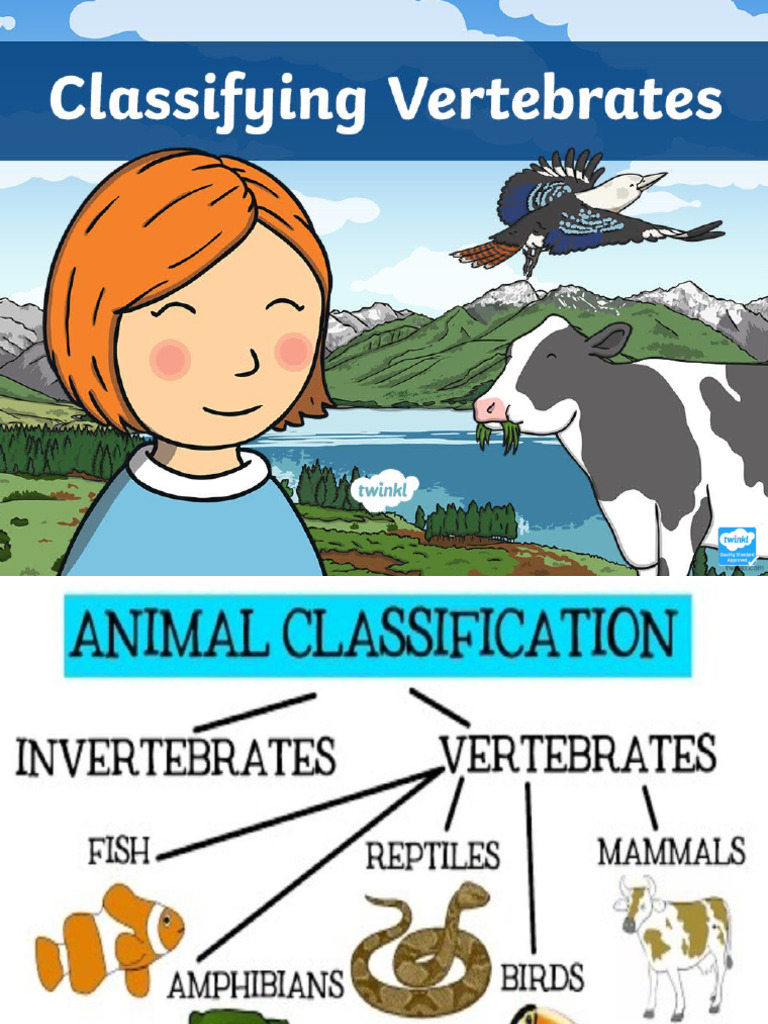 1 Classifying Vertebrates. | PDF | Invertebrate | Zoology
