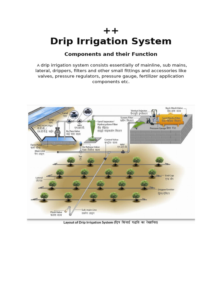 Drip Irrigation System Review 1 | PDF | Filtration