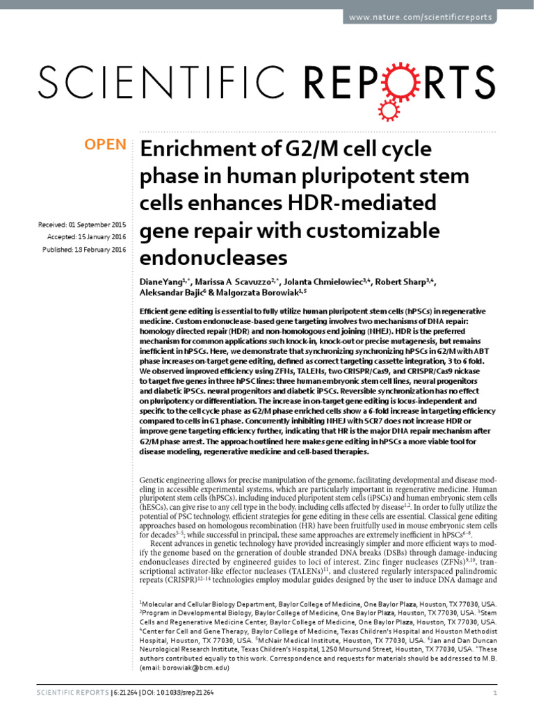 Yang 2016 - Enrichment of G2 - M Cell Cycle Phase in Human Pluripotent ...