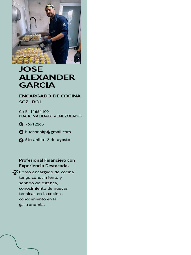 CV Alexander Garcia | PDF