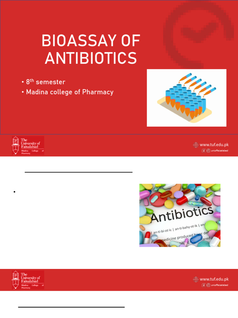 Bioassay Techniques for Antibiotics | PDF
