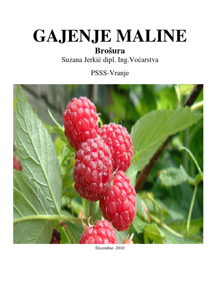 Brosura-Gajenje Maline. | PDF