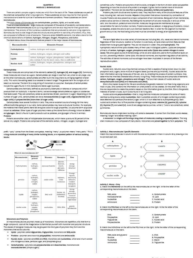 Understanding Biomolecules and Their Functions | PDF | Carbohydrates ...