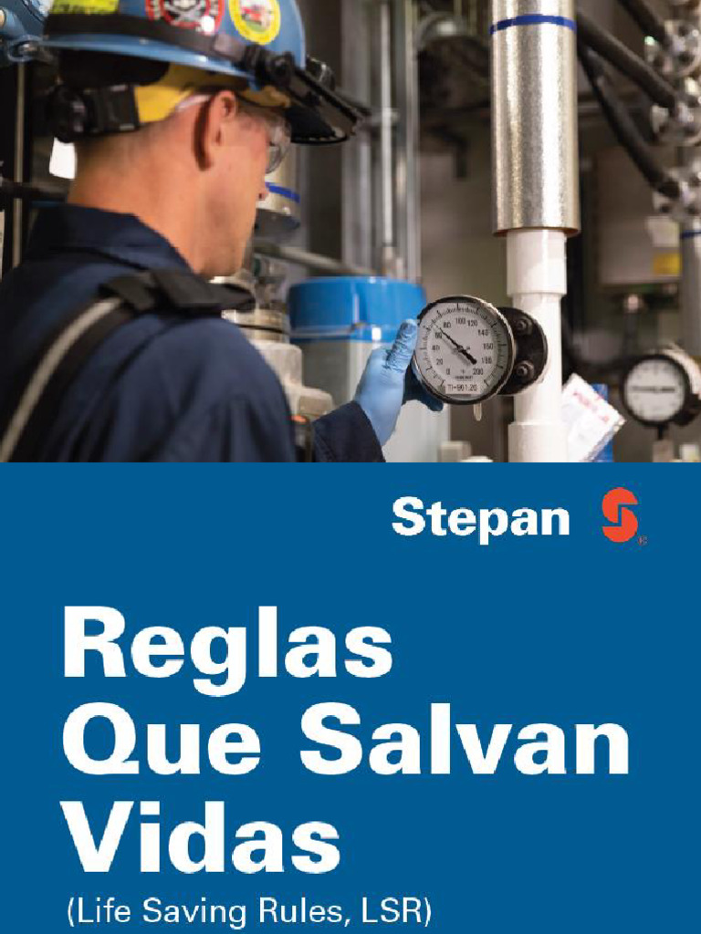 Reglas Que Salvan Vidas | PDF