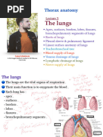 Lung Segmental Anatomy and Variants | PDF | Lung | Medical Specialties