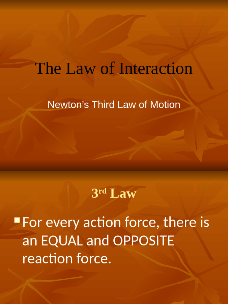 Newton's Third Law Explained | PDF | Force | Motion (Physics)