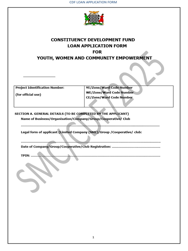 CDF Loan Application Form 2025 | PDF | Loans | Economies