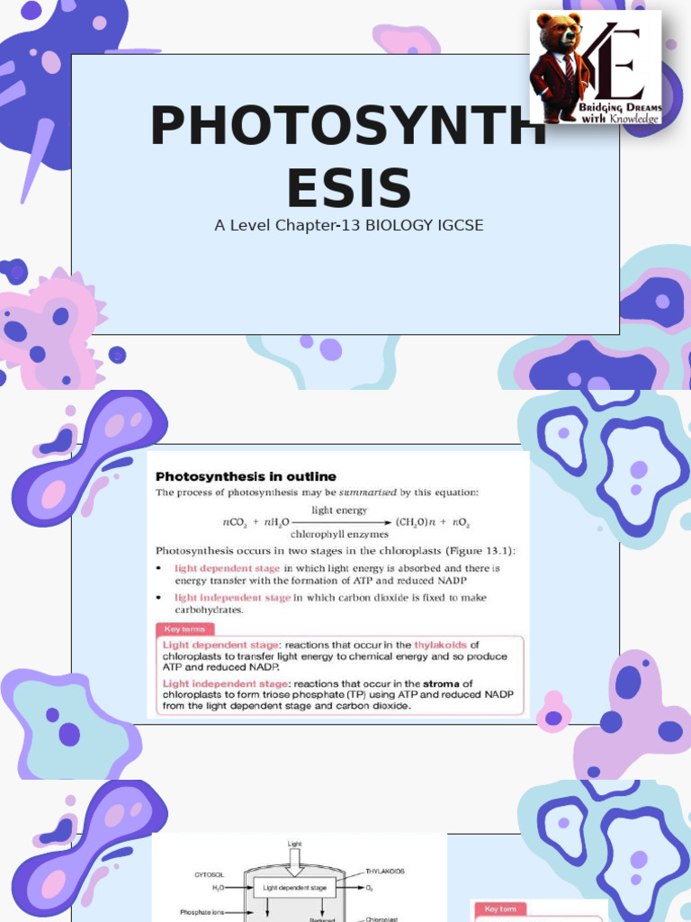 Chapter 13 Photosynthesis | PDF | Photosynthesis | Chloroplast