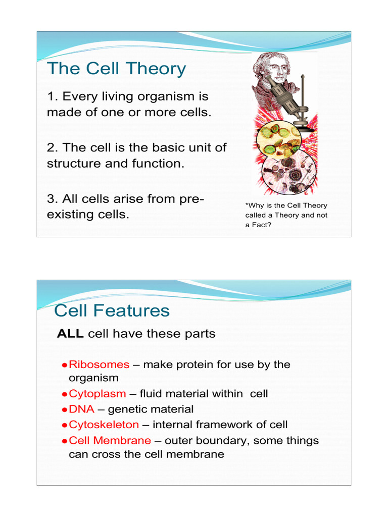 Overview of Cell Theory and Structures | PDF | Cell (Biology ...