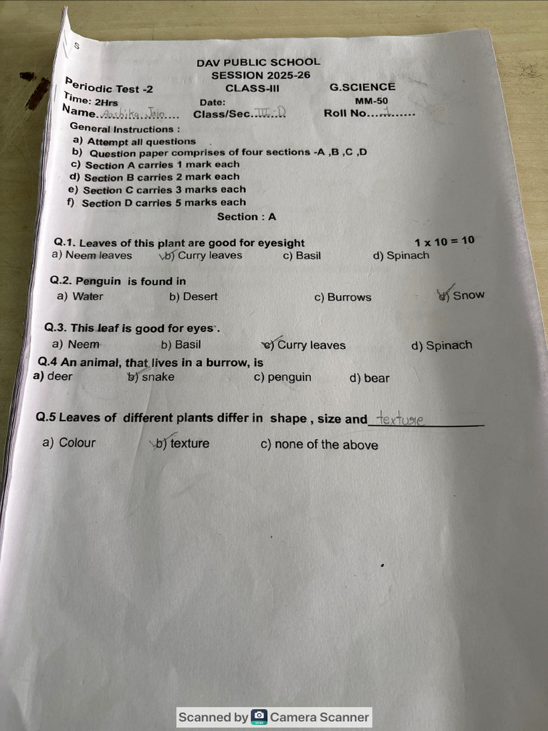 Anawer of Sample Paper Class 3 | PDF