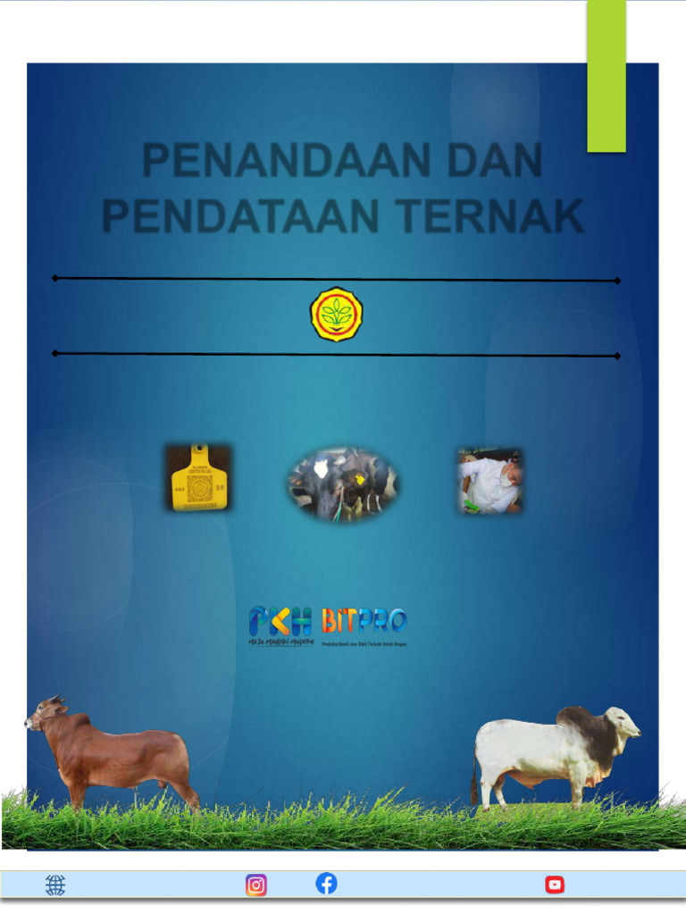 Panduan Identik | PDF