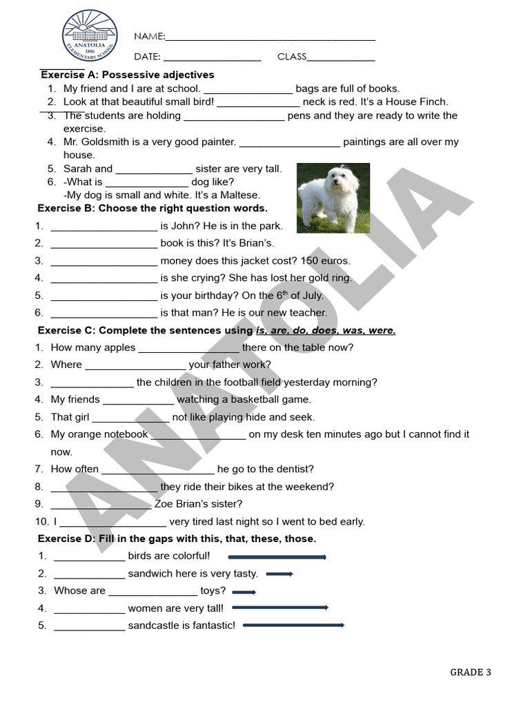 G3 Grammar Revision 1 | PDF