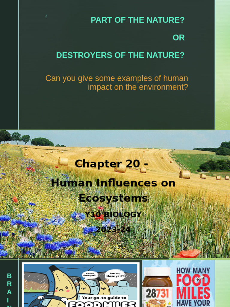 Chapter 20 Human Influences On Ecosystems 2023-24 Food Supply | PDF ...