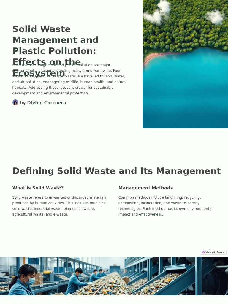 Solid Waste Management and Plastic Pollution Effects On The Ecosystem ...