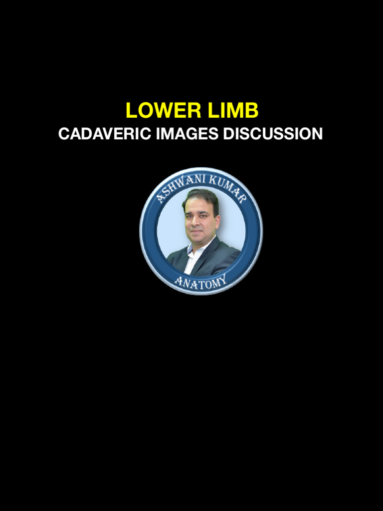 Lower Limb Cadeveric Images - Dr. Ashwani Kumar | PDF | Human Leg ...