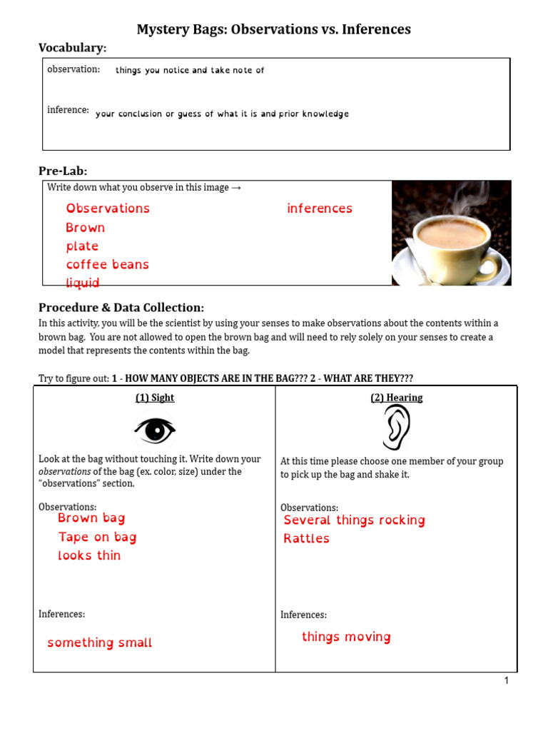 Gavin Lambert - Lee Copy of Mystery Bags Activity Observation and ...