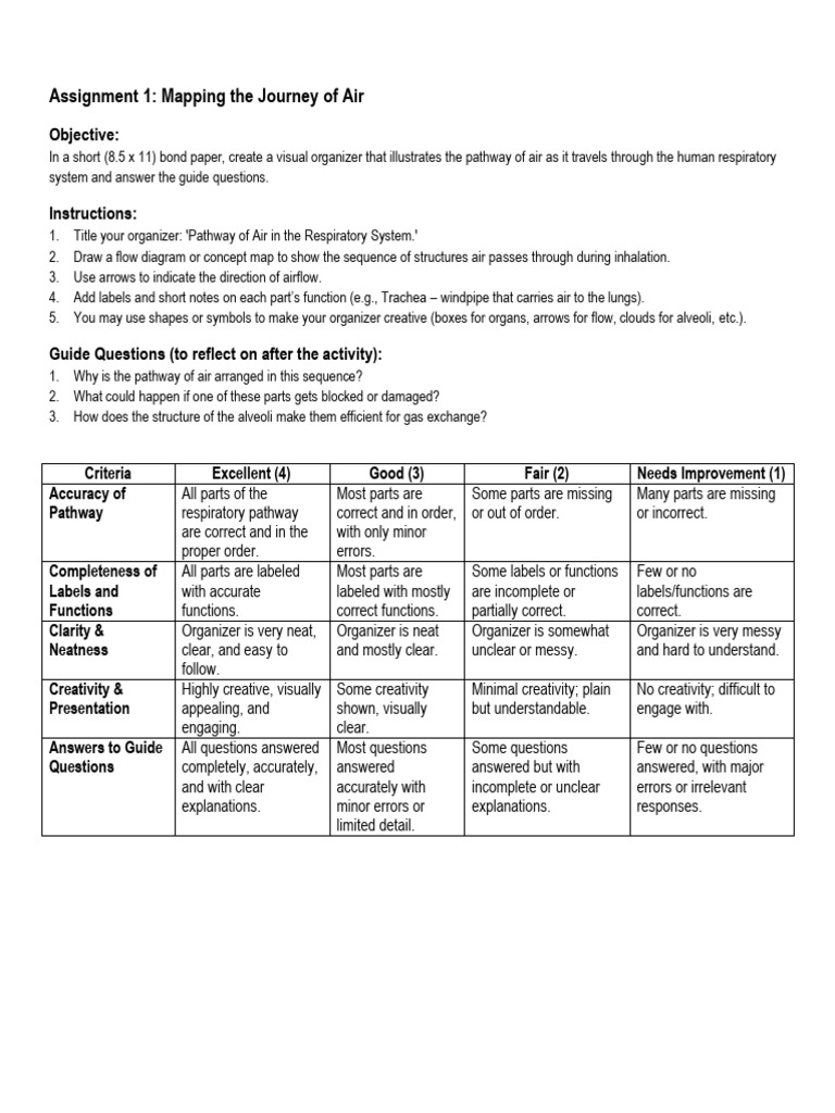 Pathway of Air in Respiratory System | PDF | Respiratory System