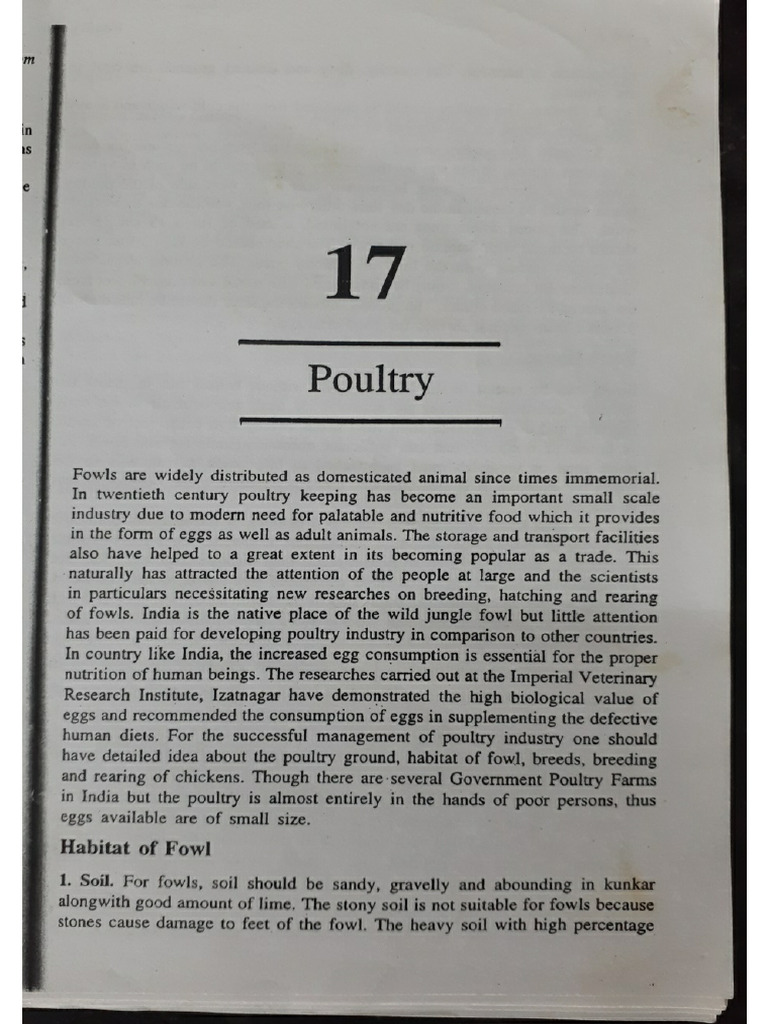 Poultry | PDF