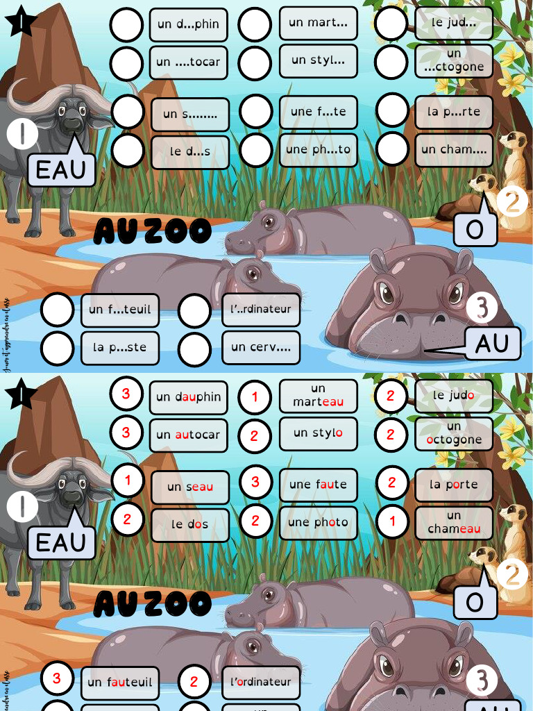 Activités éducatives au zoo | PDF