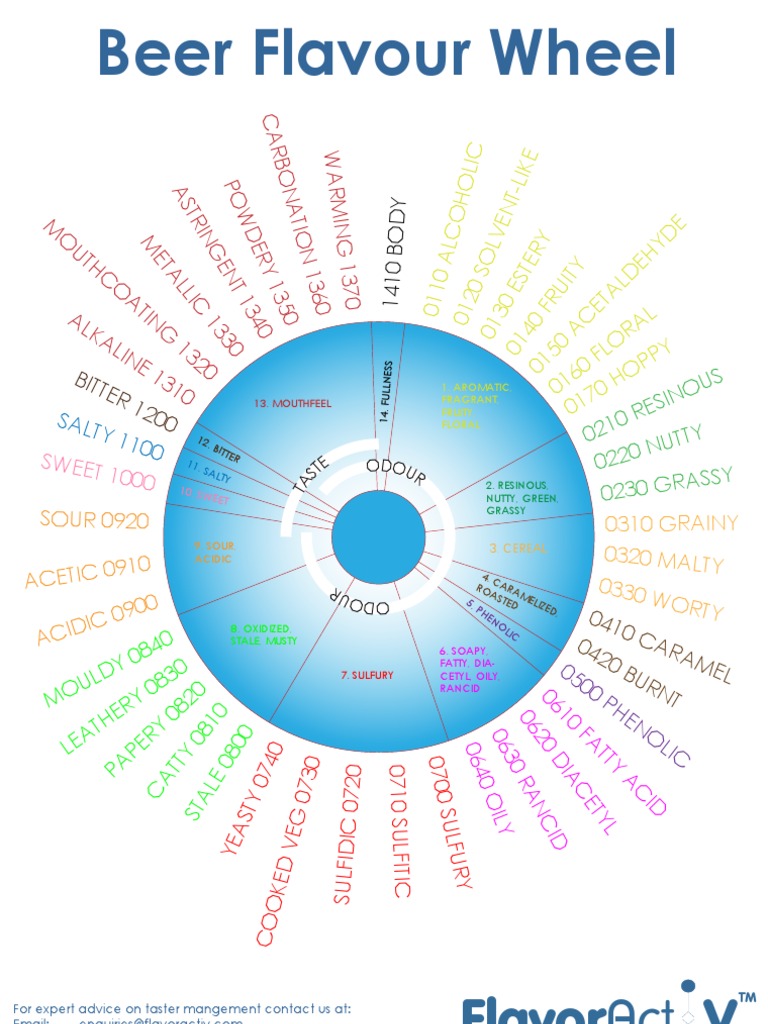 Beer Flavour Wheel Poster