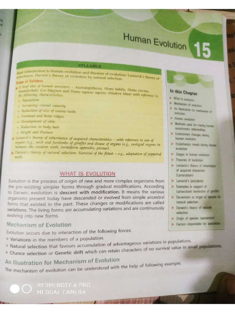 Human Evolution Class 10 Icse Biology Srijan | PDF