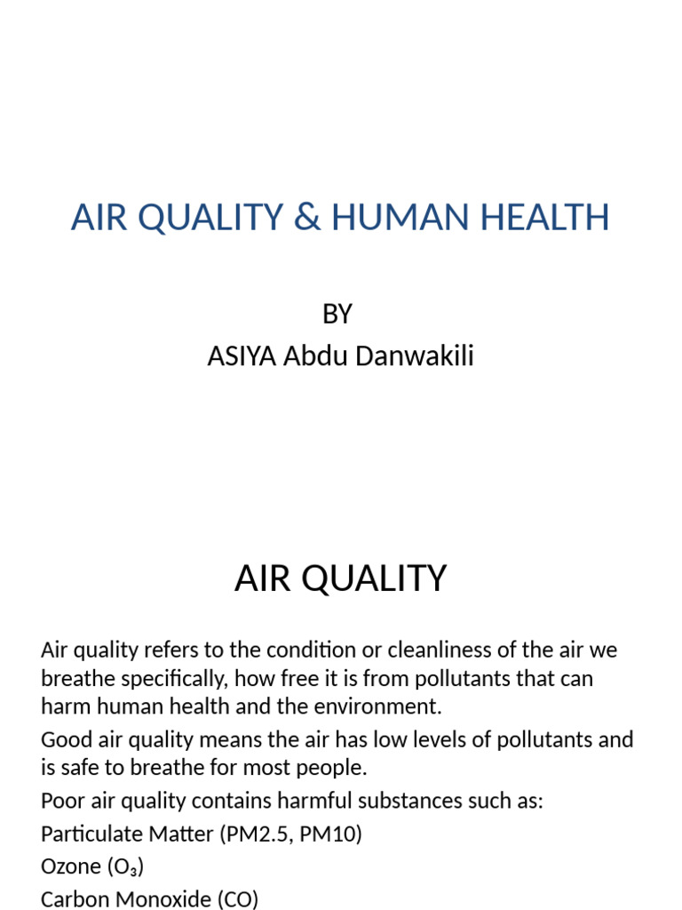 Air Quality's Impact on Human Health | PDF | Air Pollution | Particulates