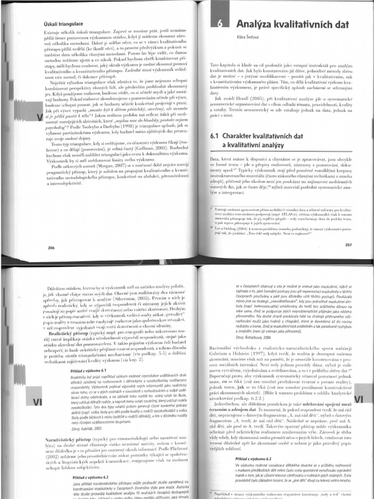 Analyza Kvalitativnich Dat - 207-247 | PDF