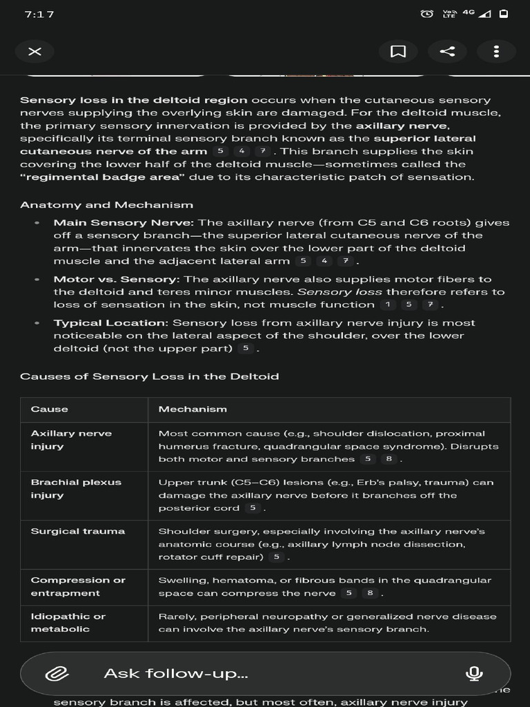 DOC-20250805-WA0050. | PDF