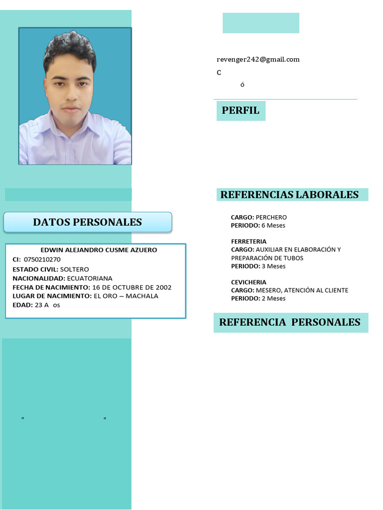 Perfil Profesional de Edwin Alejandro | PDF