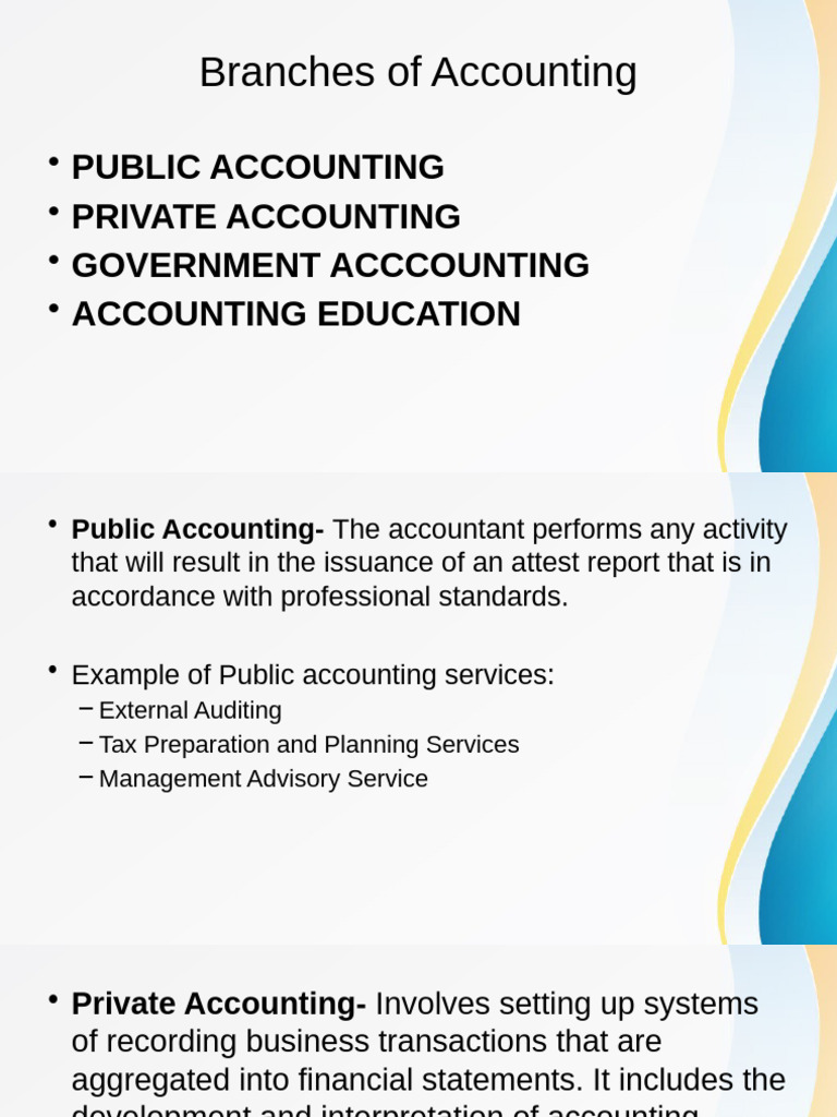 Branches of Accounting | PDF